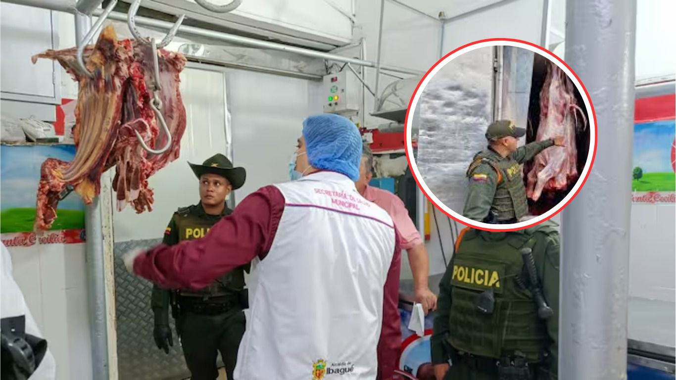 Fueron incautados 500 kilogramos de carne de cerdo en operativo contra ...