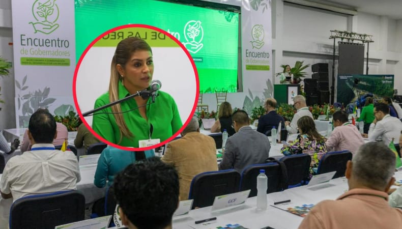 El Tolima lanza advertencia nacional por crisis climática y violencia ...